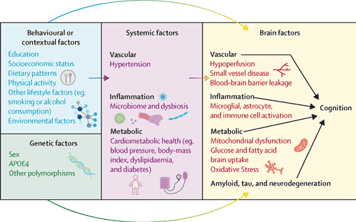 Mottling of Skin Near Death - Compassion Crossing