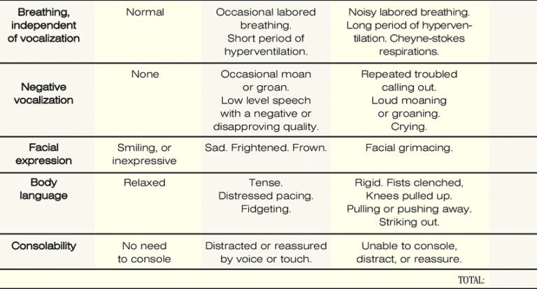 PAINAD Scale: Assessing Pain in Terminally Ill Patients