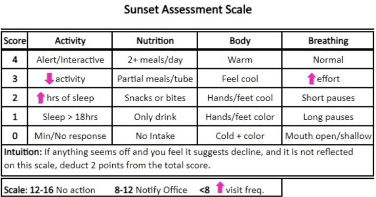 Sunset Assessment Scale for Hospice Nursing Visits