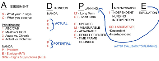 Hospice Nursing ADPIE - Compassion Crossing