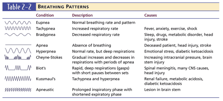 Breathing Patterns Before End of Life: Critical Clues for the Last Hours