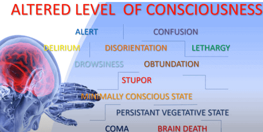 Drowsiness vs. Lethargy vs. Obtunded: Understanding Consciousness in ...