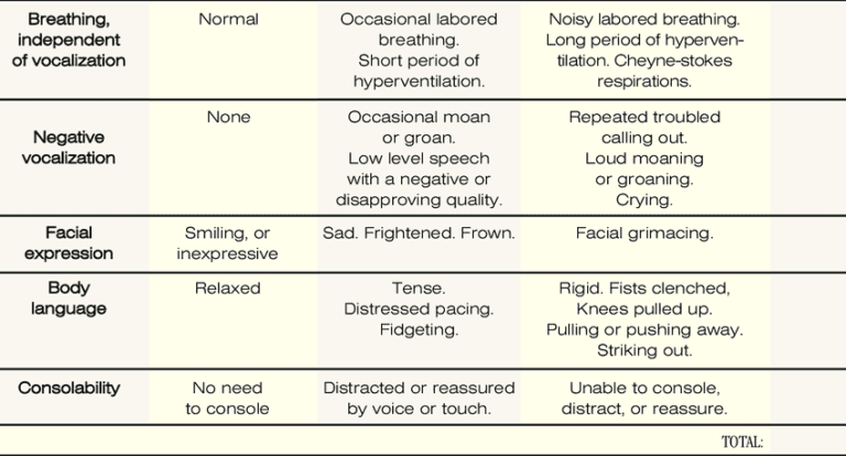 PAINAD Scale: Assessing Pain in Terminally Ill Patients