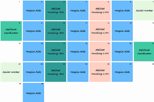 Hospice Nursing Visit frequencies: A Guide for New Hospice Nurses