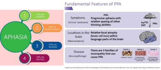 Logopenic Primary Progressive Aphasia: A Comprehensive Guide